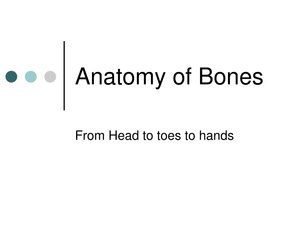 PPT - Anatomy of Bones PowerPoint Presentation, free download - ID:4821821