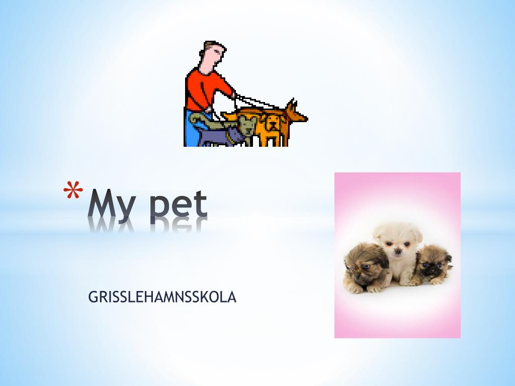 PPT - My pet PowerPoint Presentation, free download - ID:4823716