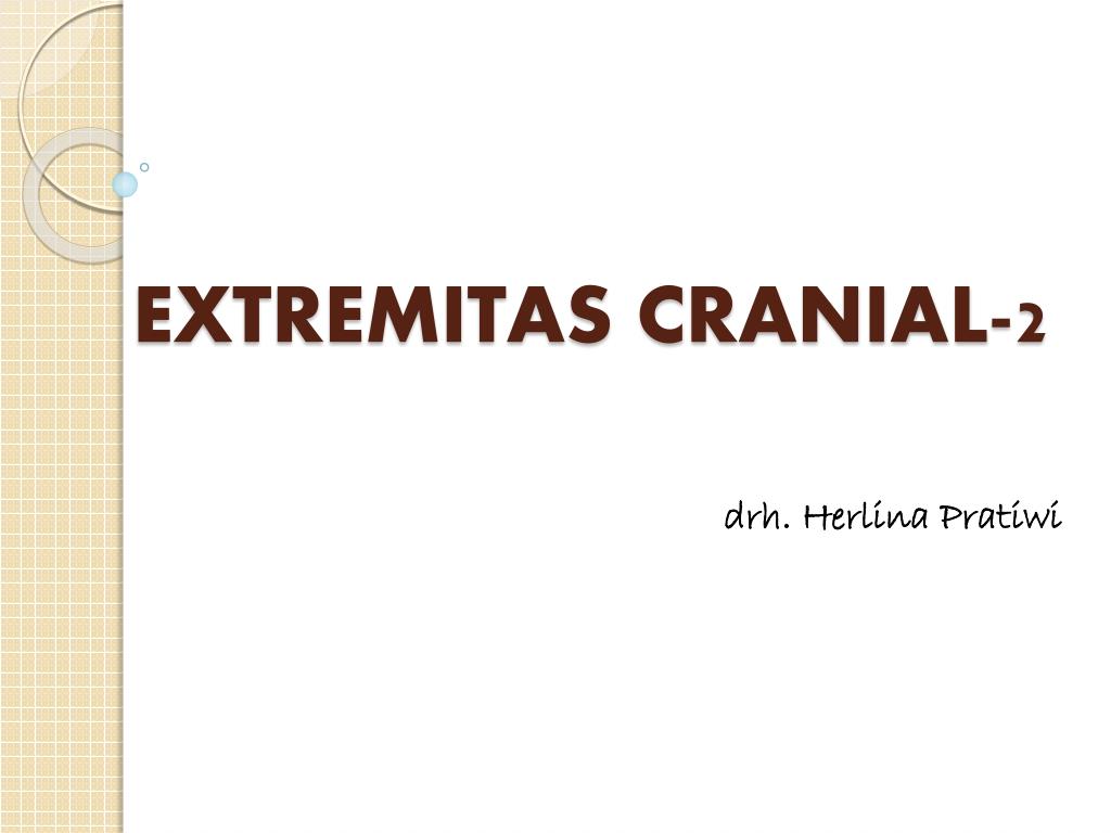 PPT - EXTREMITAS CRANIAL -2 PowerPoint Presentation, free download - ID ...