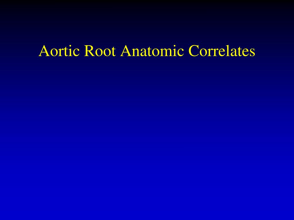 PPT - Aortic Root Anatomic Correlates PowerPoint Presentation, free ...