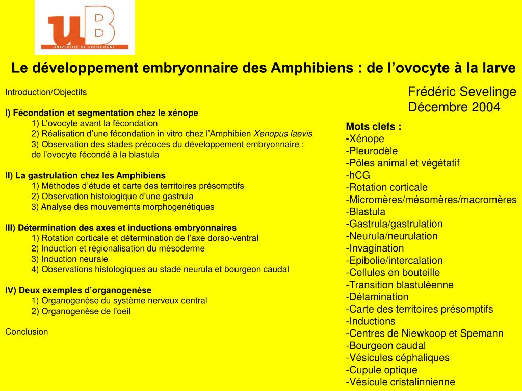 PPT - Le développement embryonnaire des Amphibiens : de l’ovocyte à la ...