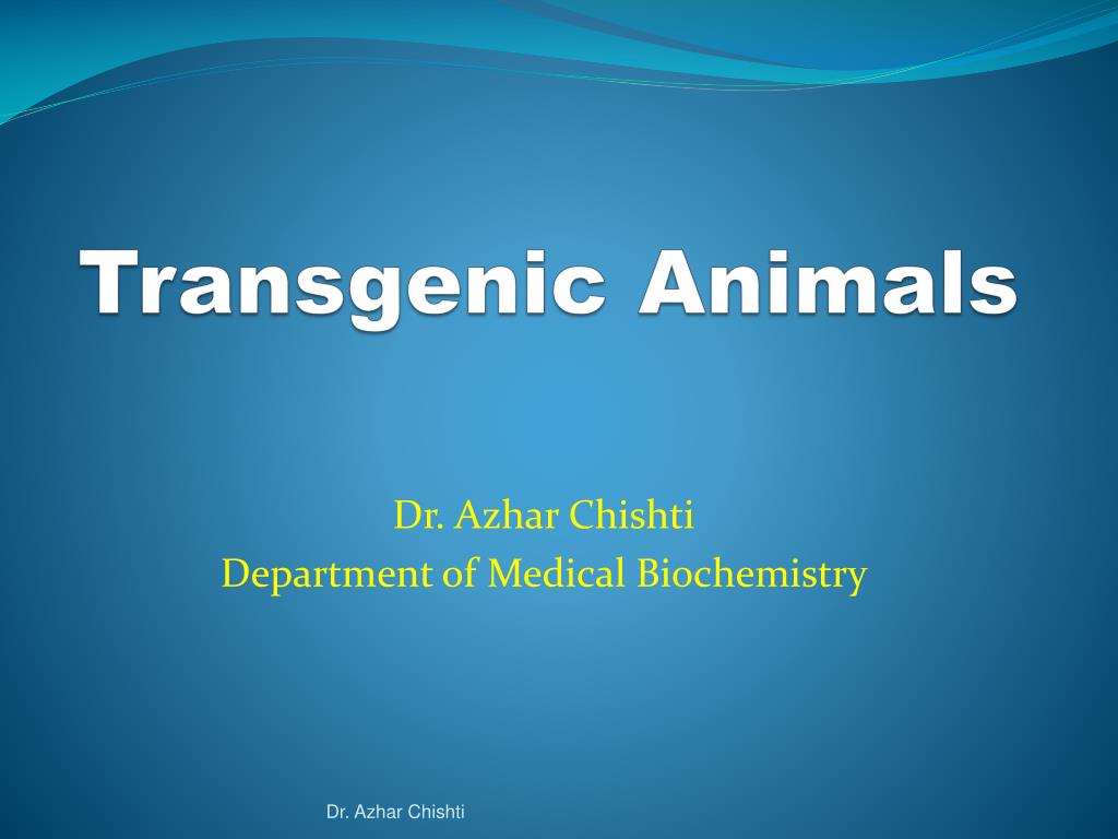 PPT - Transgenic Animals PowerPoint Presentation, free download - ID ...