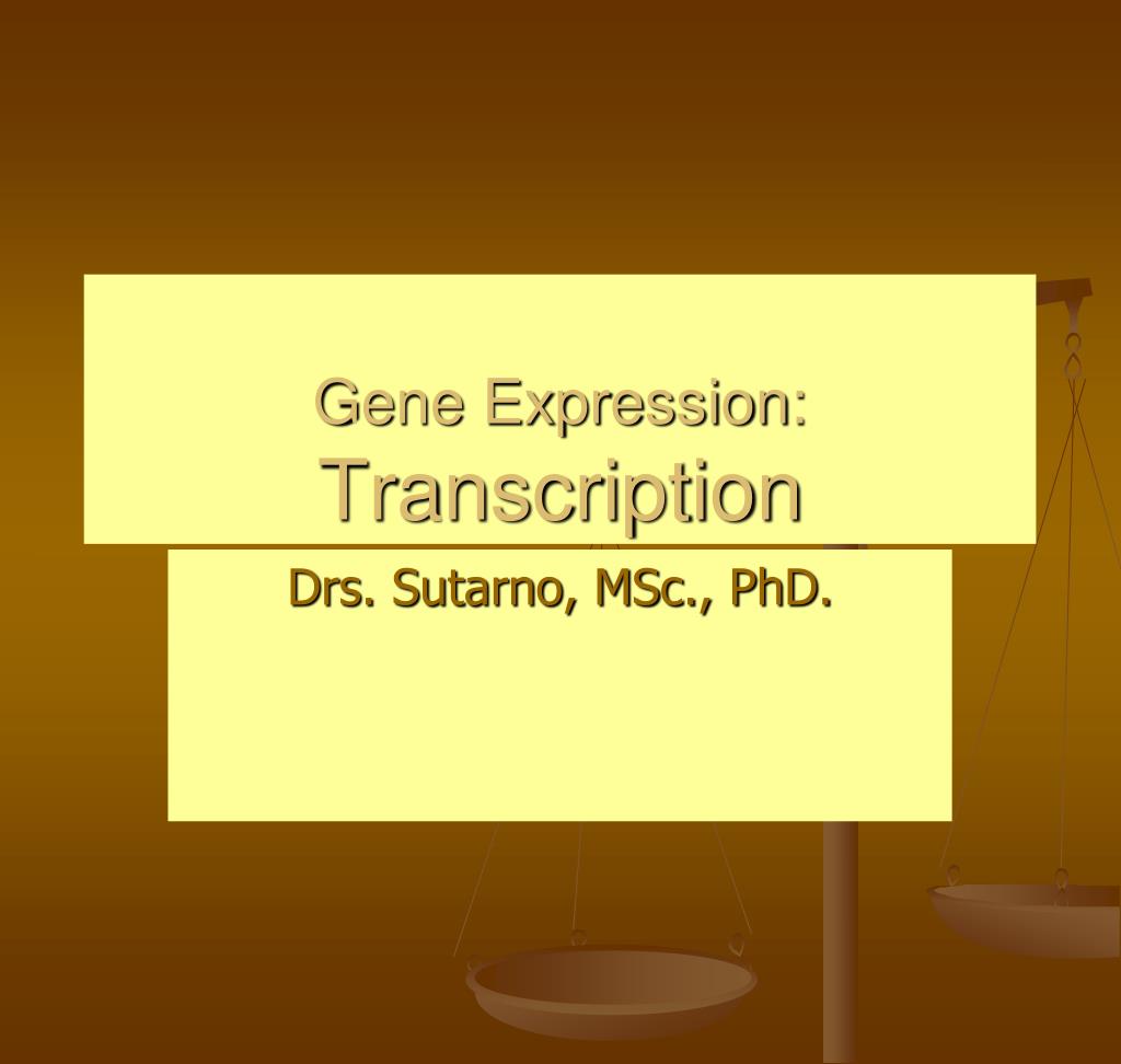 PPT - Gene Expression: Transcription PowerPoint Presentation, free ...