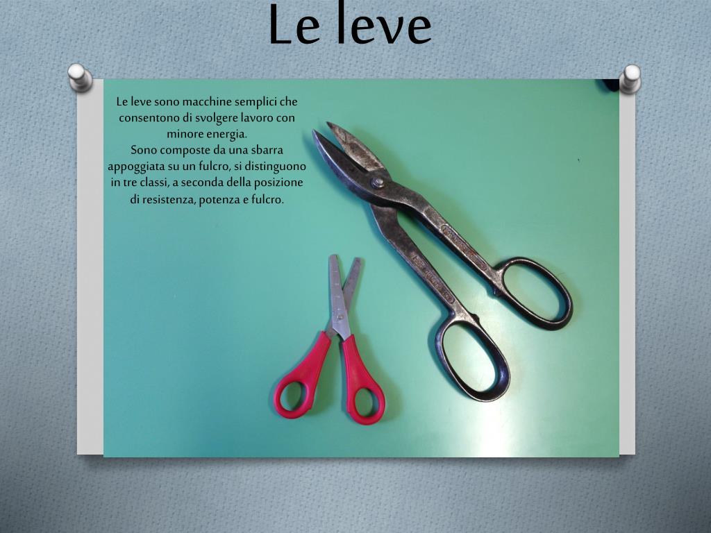 PPT - Le leve PowerPoint Presentation, free download - ID:4844892