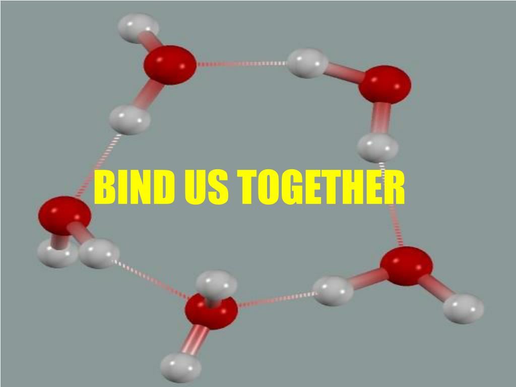 PPT - BIND US TOGETHER PowerPoint Presentation, free download - ID:4857624