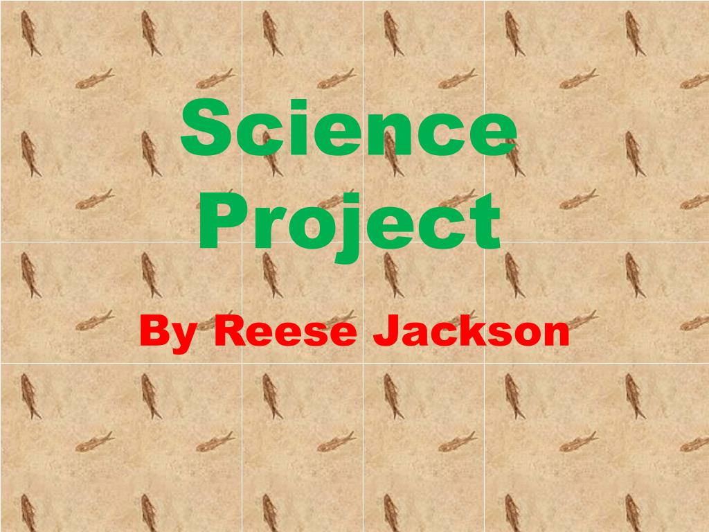 PPT - Science Project PowerPoint Presentation, free download - ID:4862169