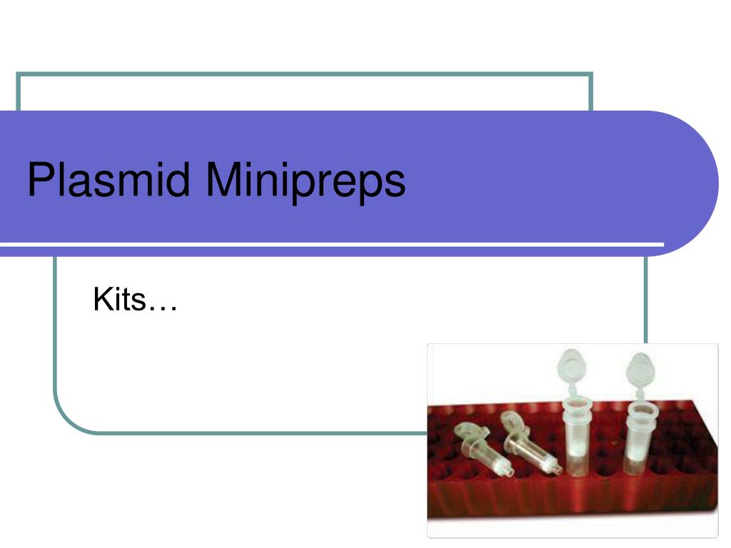 PPT - Plasmid Minipreps PowerPoint Presentation, free download - ID:4863571