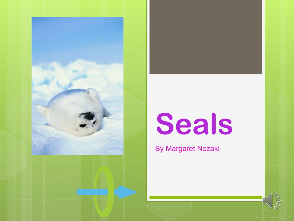 PPT - Seals PowerPoint Presentation, free download - ID:4865818