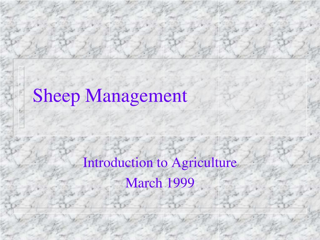 PPT - Sheep Management PowerPoint Presentation, free download - ID:4869165