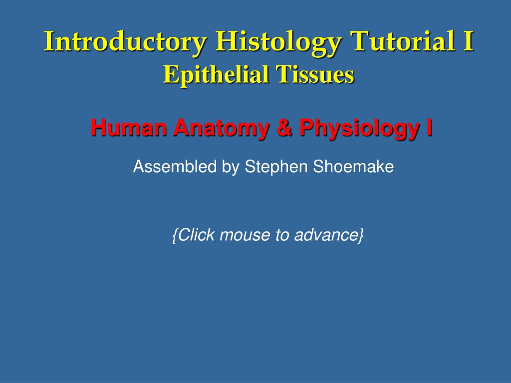 PPT - Introductory Histology Tutorial I Epithelial Tissues PowerPoint ...