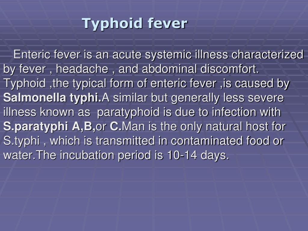PPT - Typhoid fever PowerPoint Presentation, free download - ID:4879279