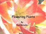 PPT - MORPHOLOGY OF FLOWERING PLANTS PowerPoint Presentation, free ...