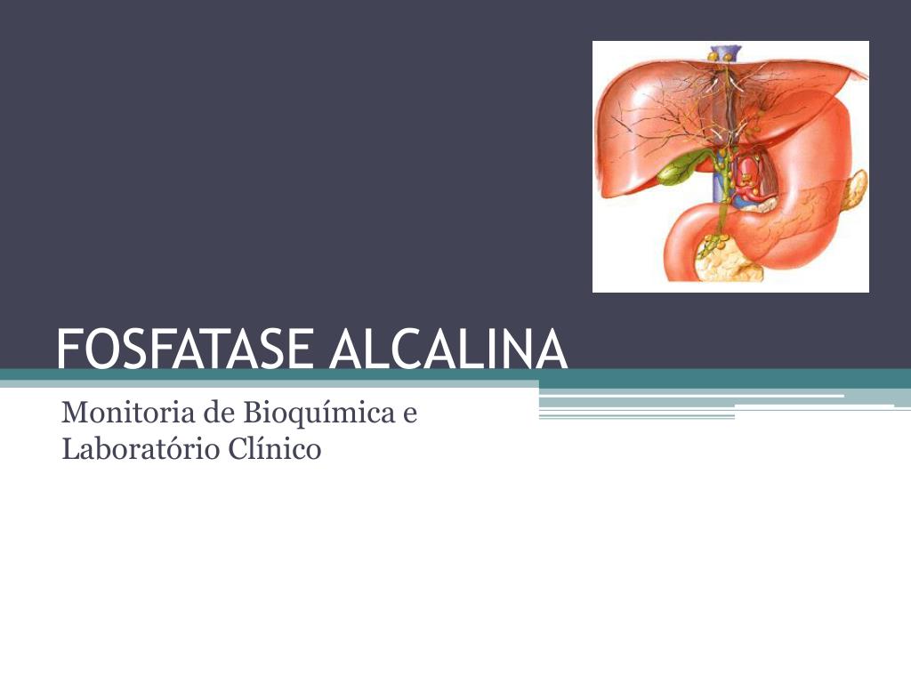 PPT - FOSFATASE ALCALINA PowerPoint Presentation, free download - ID ...