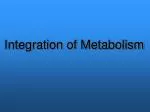 PPT - Integration of Metabolism PowerPoint Presentation, free download ...