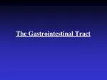 PPT - HISTOLOGY OF GASTROINTESTINAL TRACT PowerPoint Presentation, free ...