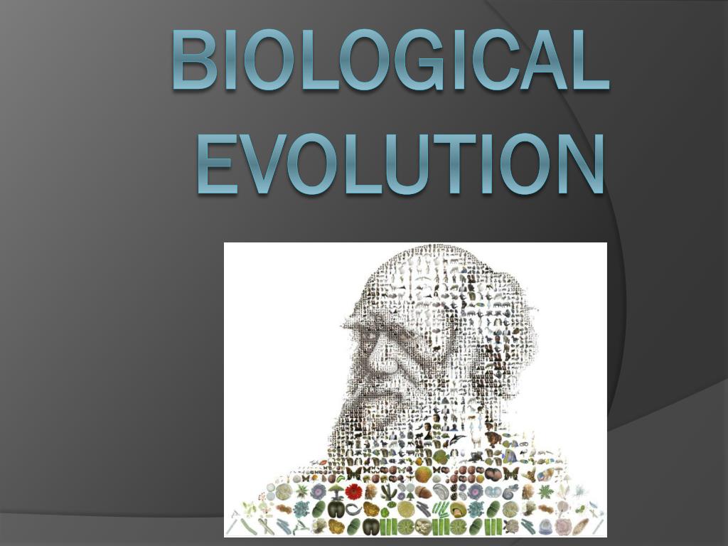 PPT - Biological Evolution PowerPoint Presentation, free download - ID ...