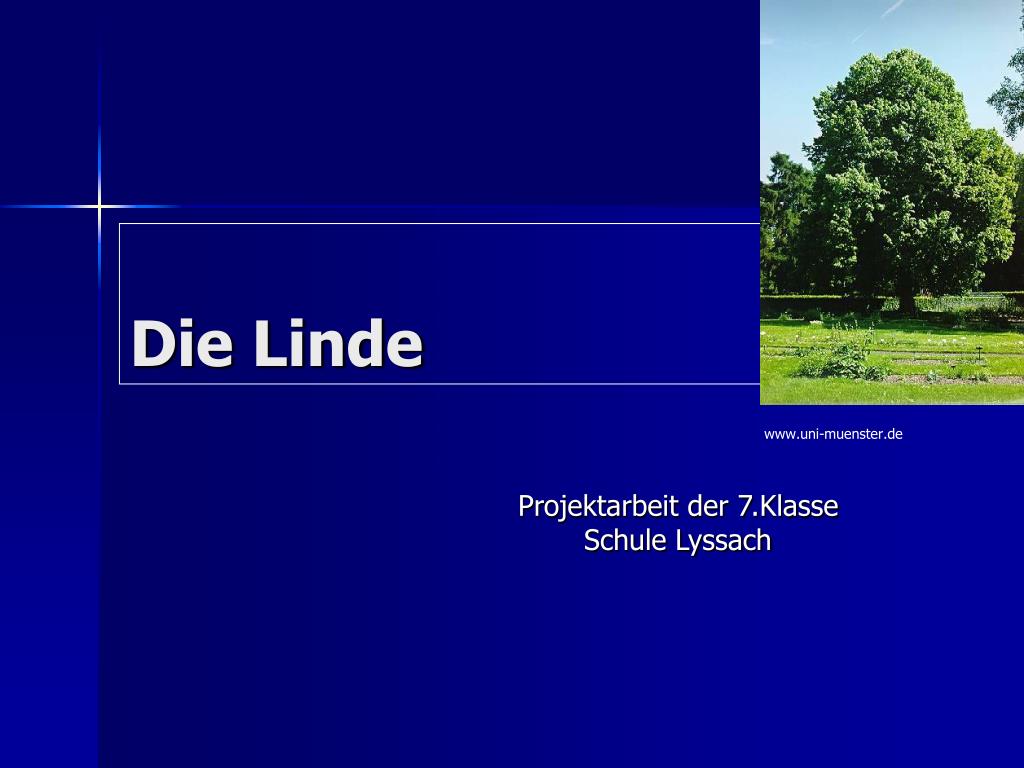 PPT - Die Linde PowerPoint Presentation, free download - ID:4892052