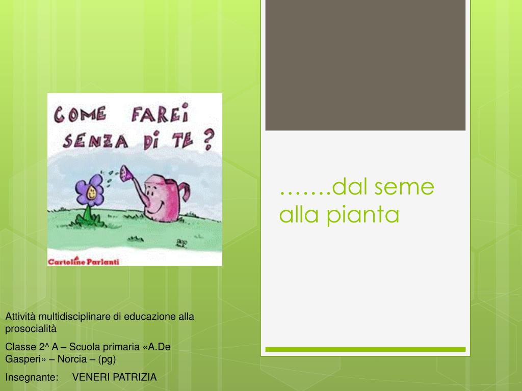 PPT - …….dal seme alla pianta PowerPoint Presentation, free download ...