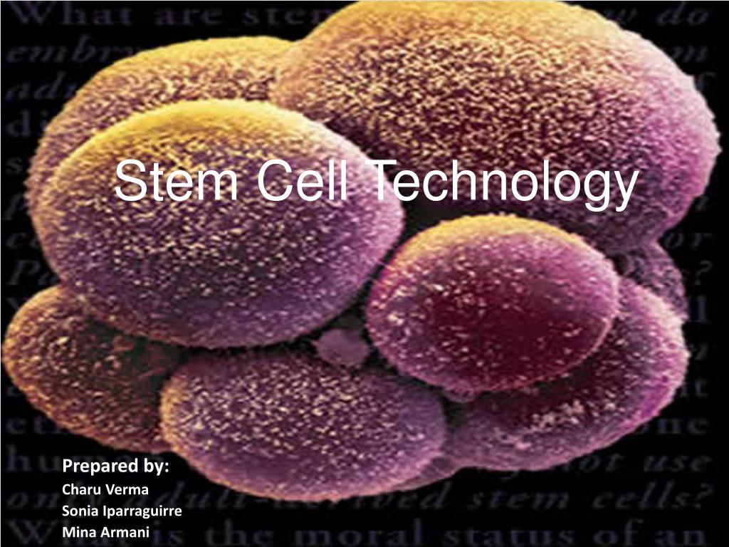 PPT - Stem Cell Technology PowerPoint Presentation, free download - ID ...