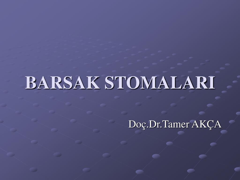 PPT - BARSAK STOMALARI PowerPoint Presentation, free download - ID:4902403