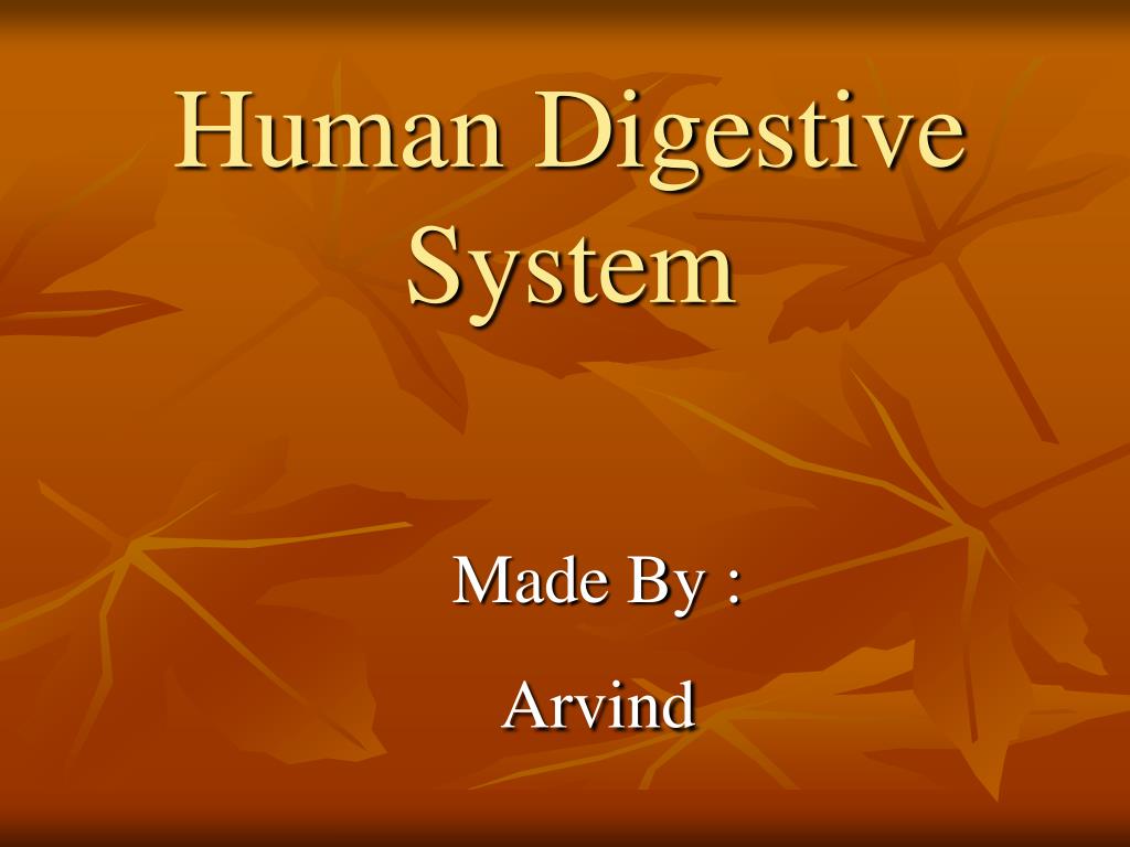 PPT - Human Digestive System PowerPoint Presentation, free download ...
