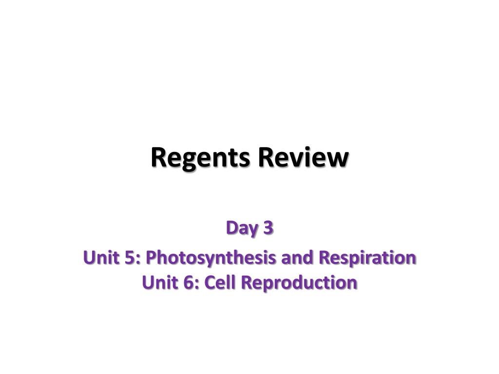 PPT - Photosynthesis and Respiration: Key Concepts & Processes ...
