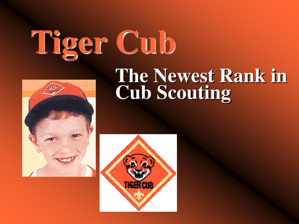 PPT - Tiger Cub PowerPoint Presentation, free download - ID:4913815