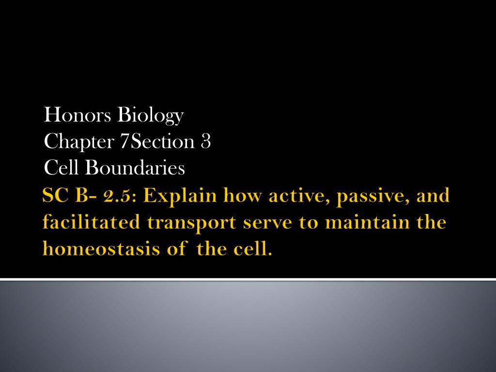 PPT - Honors Biology Chapter 7Section 3 Cell Boundaries PowerPoint ...