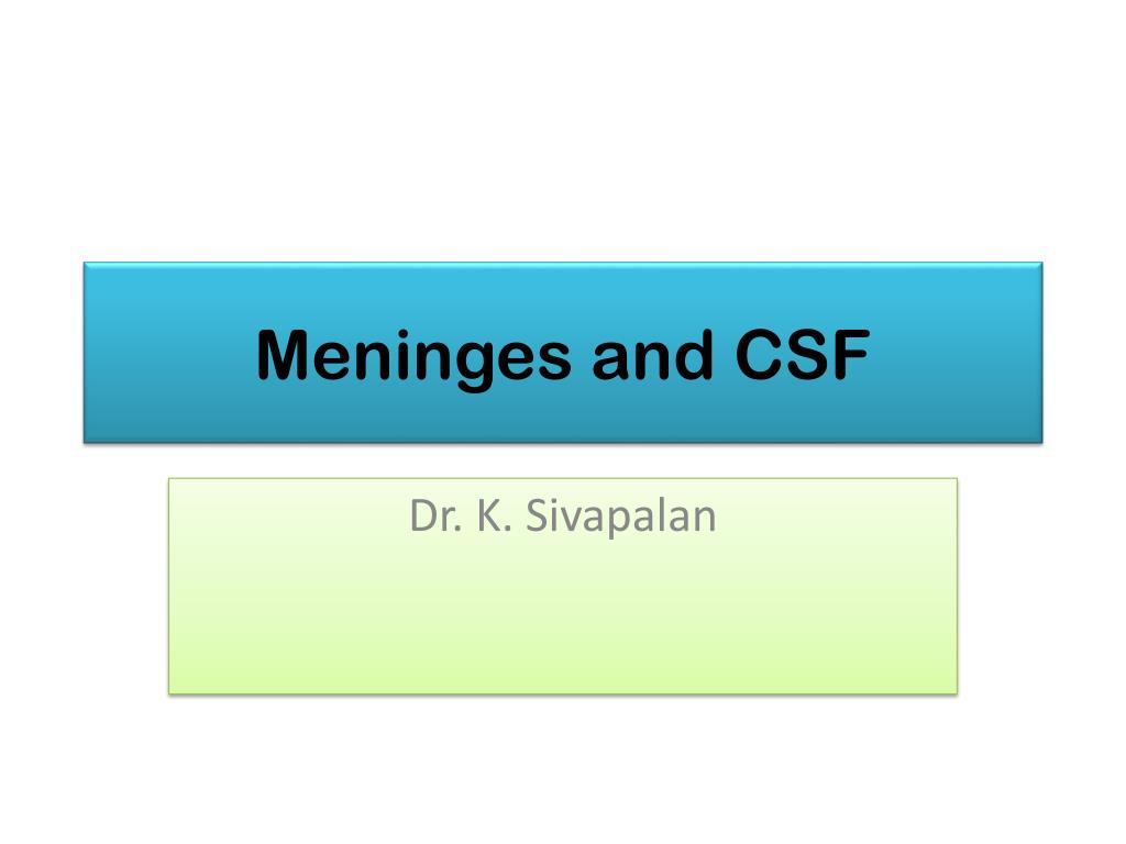 PPT - Meninges and CSF PowerPoint Presentation, free download - ID:4917396