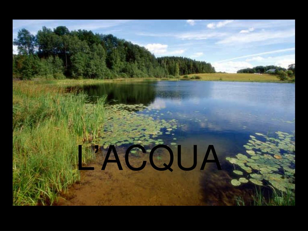 PPT - L’ACQUA PowerPoint Presentation, free download - ID:4919613