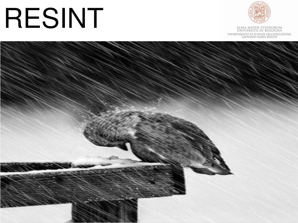 PPT - RESINT PowerPoint Presentation, free download - ID:4921050