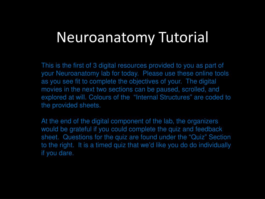 PPT - Neuroanatomy Tutorial PowerPoint Presentation, free download - ID ...