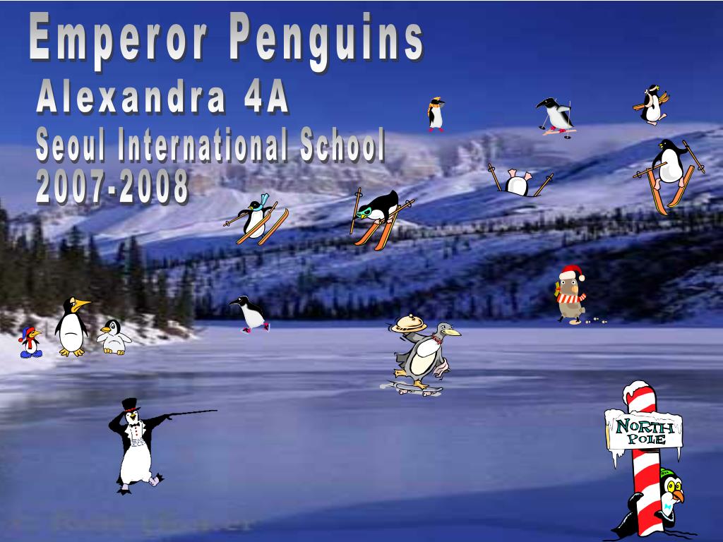 PPT - Emperor Penguins PowerPoint Presentation, free download - ID:4925612