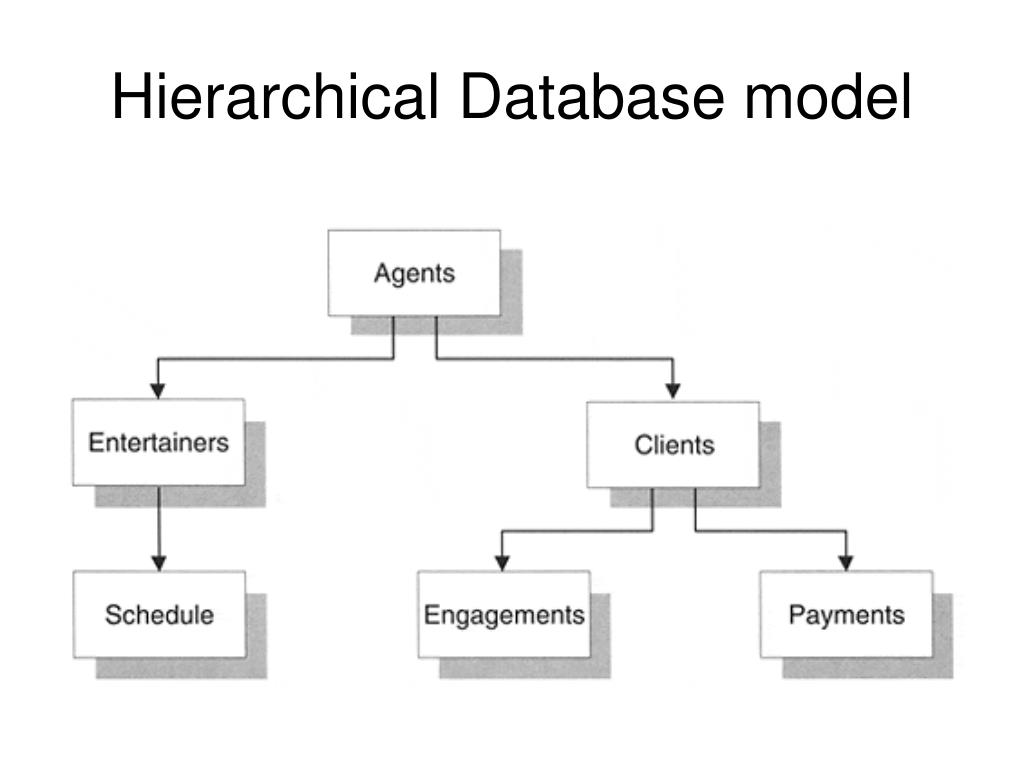 PPT - Hierarchical Database model PowerPoint Presentation, free ...