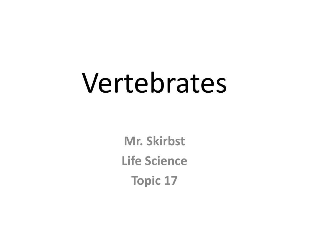PPT - Vertebrates PowerPoint Presentation, free download - ID:4936942