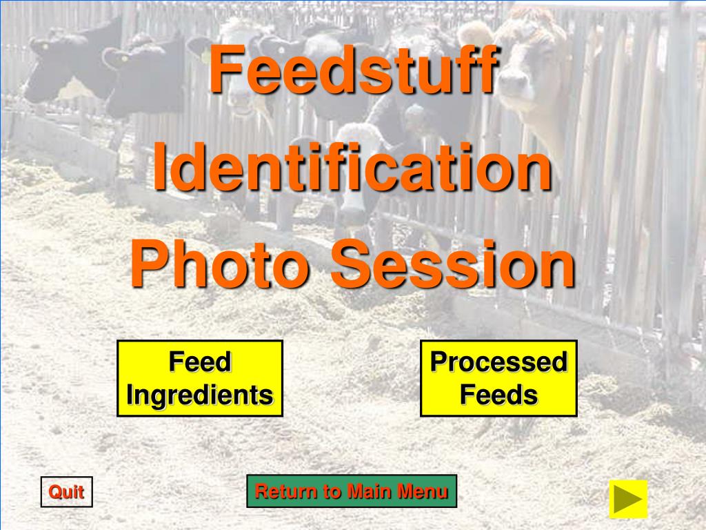 PPT - Feedstuff Identification Photo Session PowerPoint Presentation ...