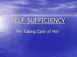 PPT - Implementing the Self-Sufficiency Matrix PowerPoint Presentation ...