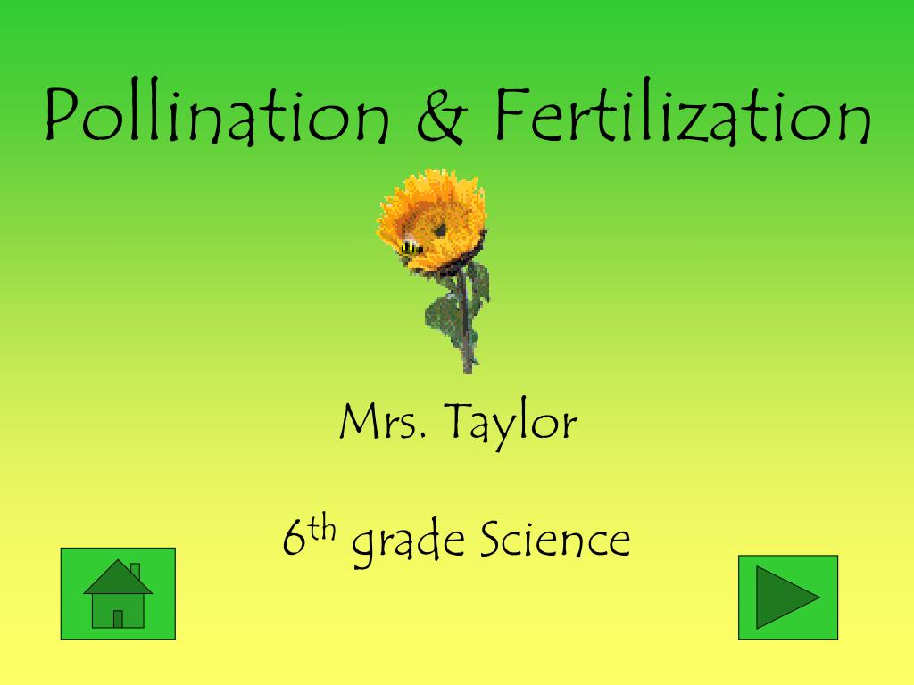 PPT - Pollination & Fertilization PowerPoint Presentation, free ...