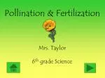PPT - Flowers & Pollination PowerPoint Presentation, free download - ID ...
