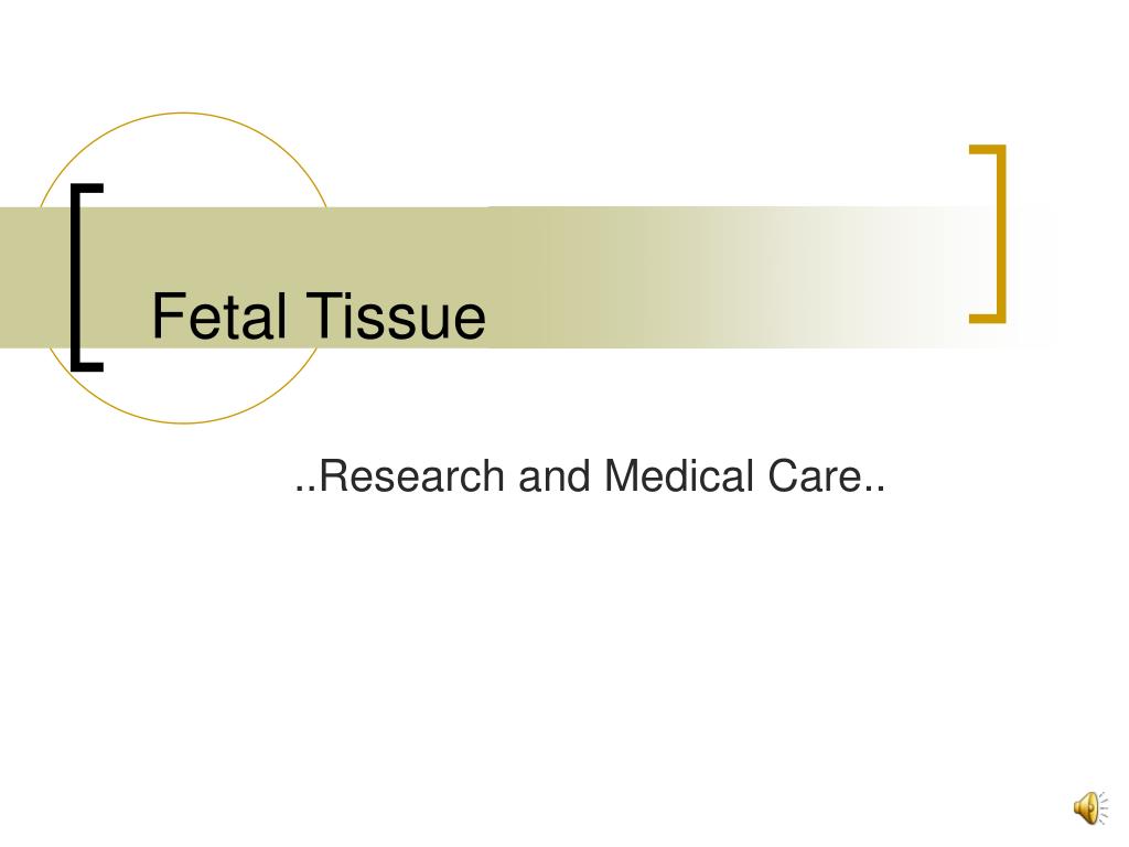 PPT - Fetal Tissue PowerPoint Presentation, free download - ID:4942936
