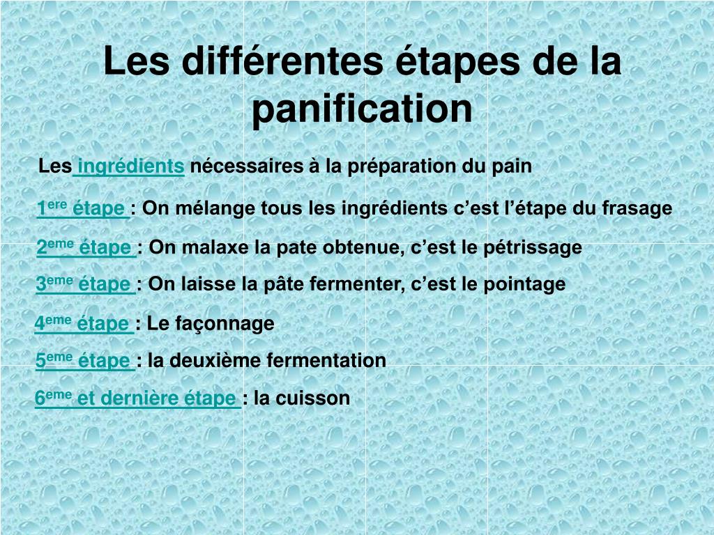 PPT - Les différentes étapes de la panification PowerPoint Presentation ...
