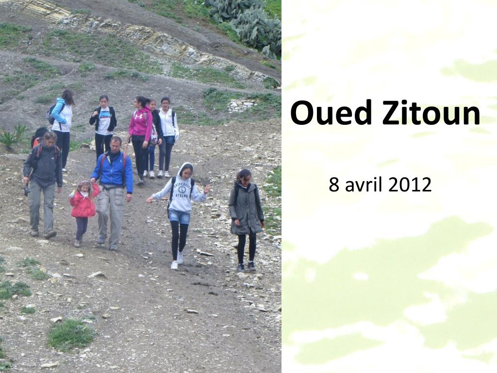 PPT - Oued Zitoun PowerPoint Presentation, free download - ID:4961554