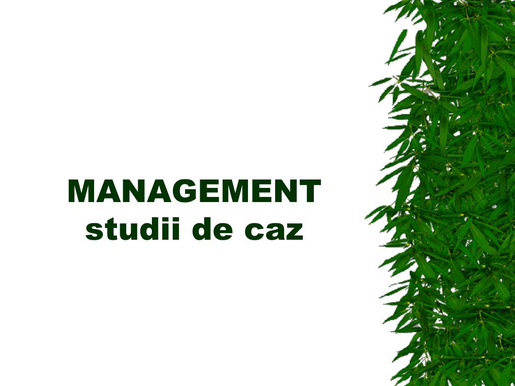 PPT - MANAGEMENT studii de caz PowerPoint Presentation, free download - ID:4961564