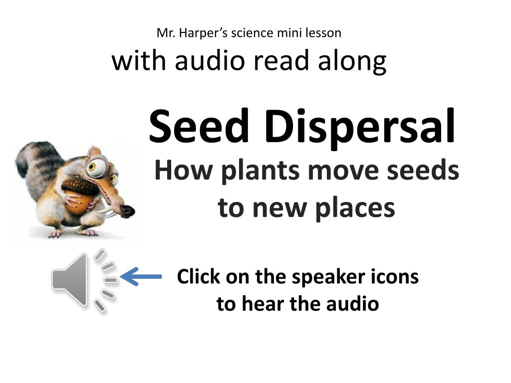 PPT - Seed Dispersal PowerPoint Presentation, free download - ID:4968644