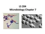 PPT - CHAPTER - 2 MICROORGANISMS : FRIEND AND FOE PowerPoint ...