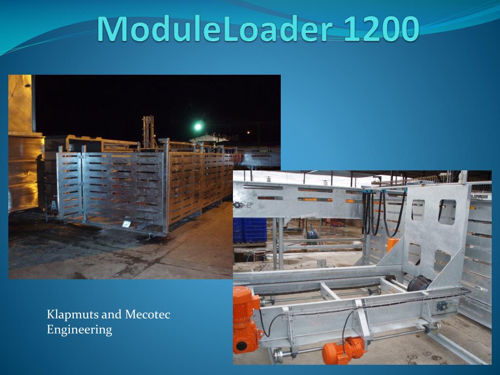 PPT - ModuleLoader 1200 PowerPoint Presentation, free download - ID:4979768