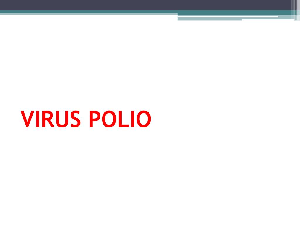 PPT - VIRUS POLIO PowerPoint Presentation, free download - ID:4981027