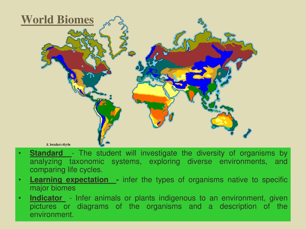 PPT - World Biomes PowerPoint Presentation, free download - ID:4983120