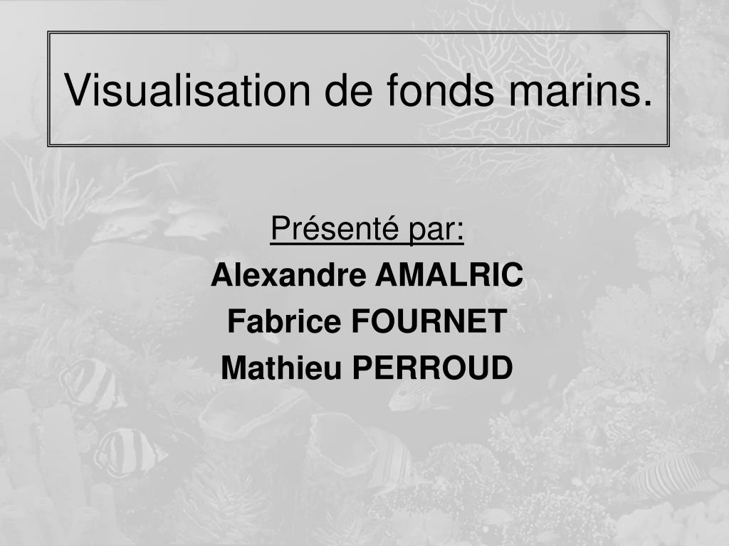 PPT - Visualisation de fonds marins. PowerPoint Presentation, free ...