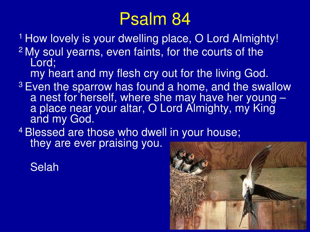 PPT - Psalm 84 PowerPoint Presentation, free download - ID:4993749